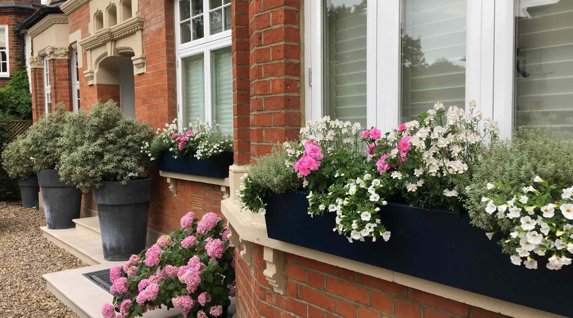 Welcome to Square Garden Design • Square Garden Design